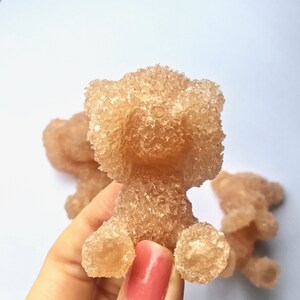 Bear Magnets. Resin Animal Magnets for Fridge. Bear Decor for - Etsy