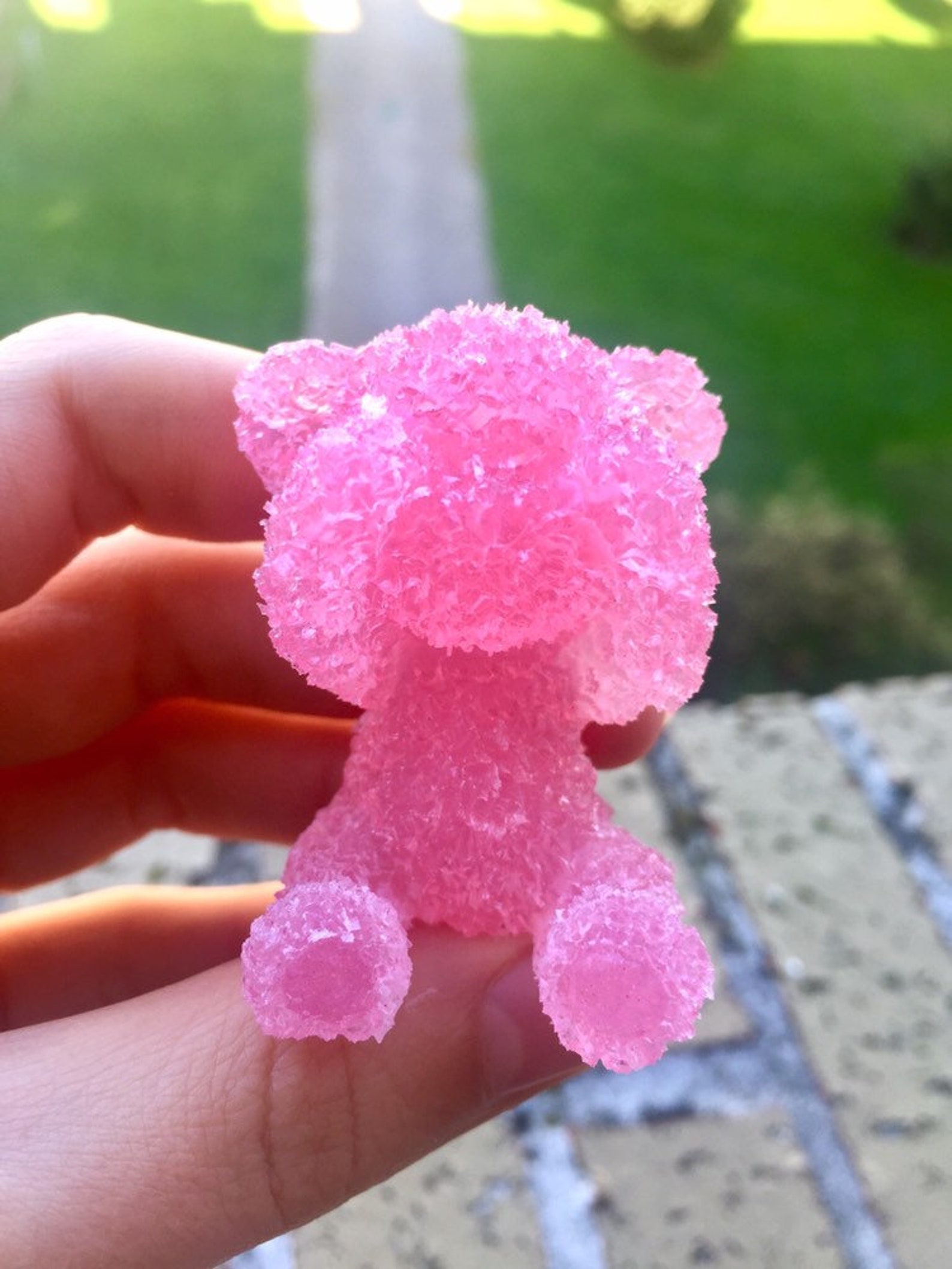 Bear magnets. Resin animal magnets for fridge. Bear decor for | Etsy