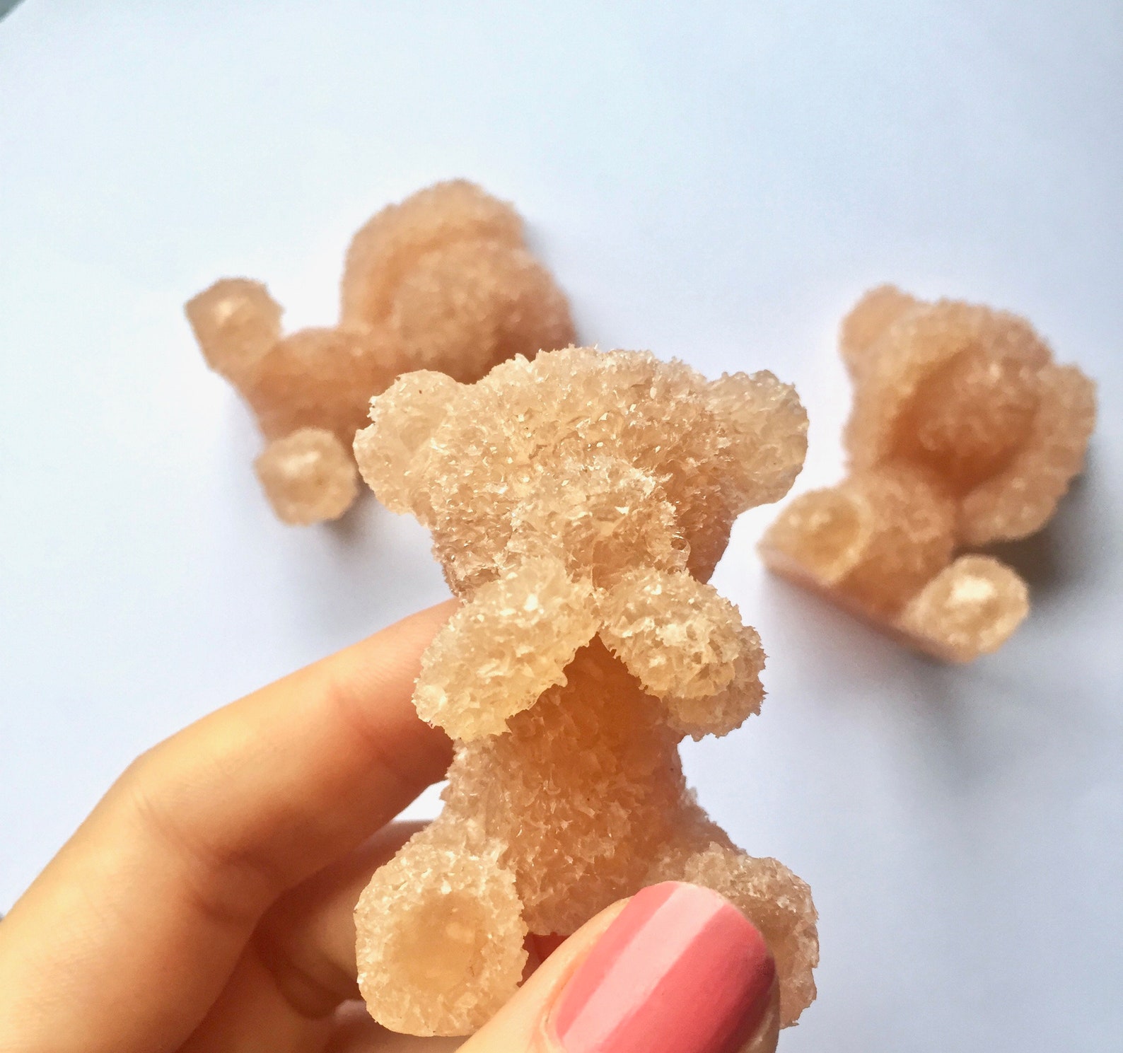 Bear magnets. Resin animal magnets for fridge. Bear decor for | Etsy