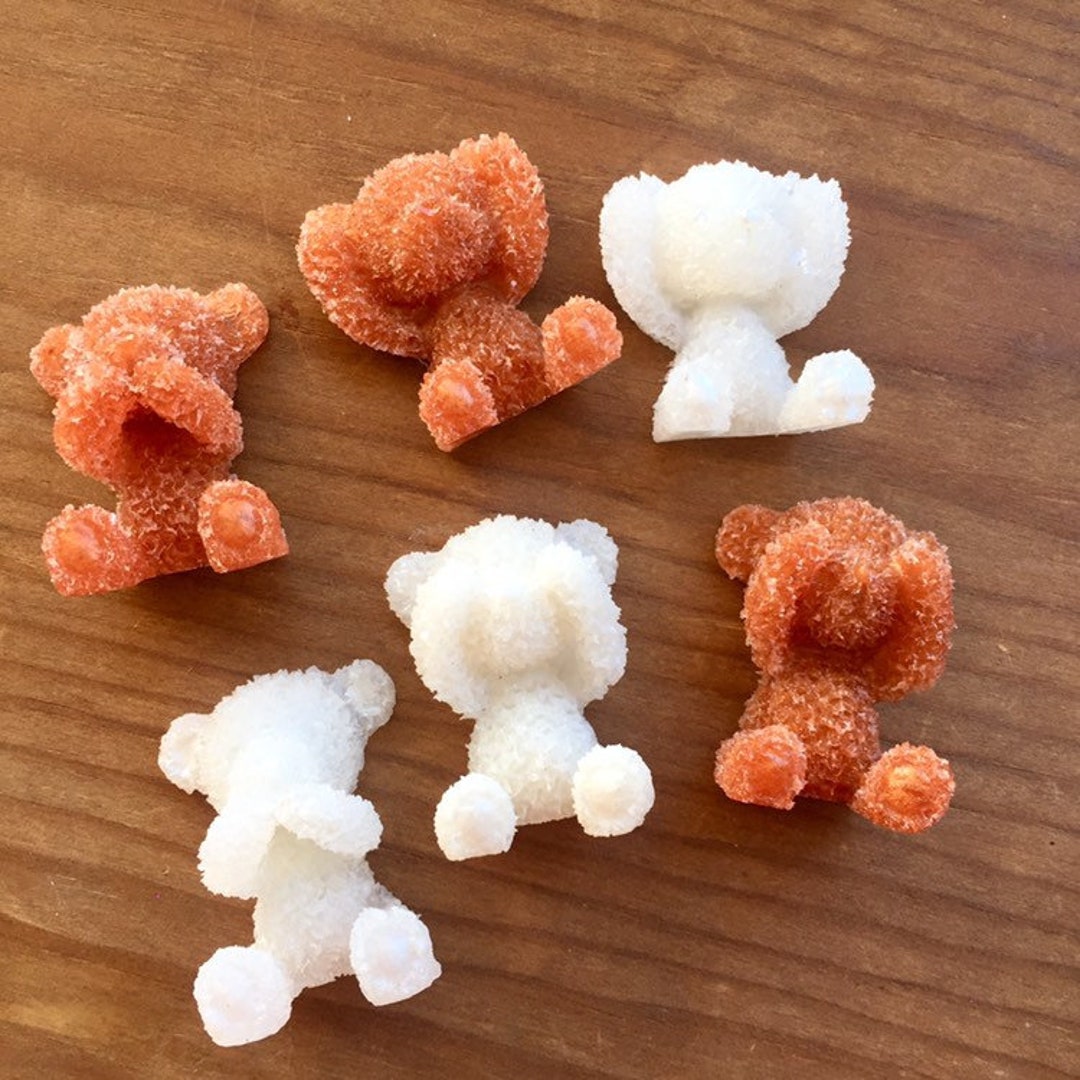 Bear Magnets. Resin Animal Magnets for Fridge. Bear Decor for - Etsy