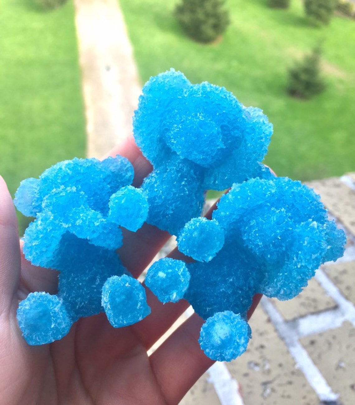 Bear magnets. Resin animal magnets for fridge. Bear decor for | Etsy