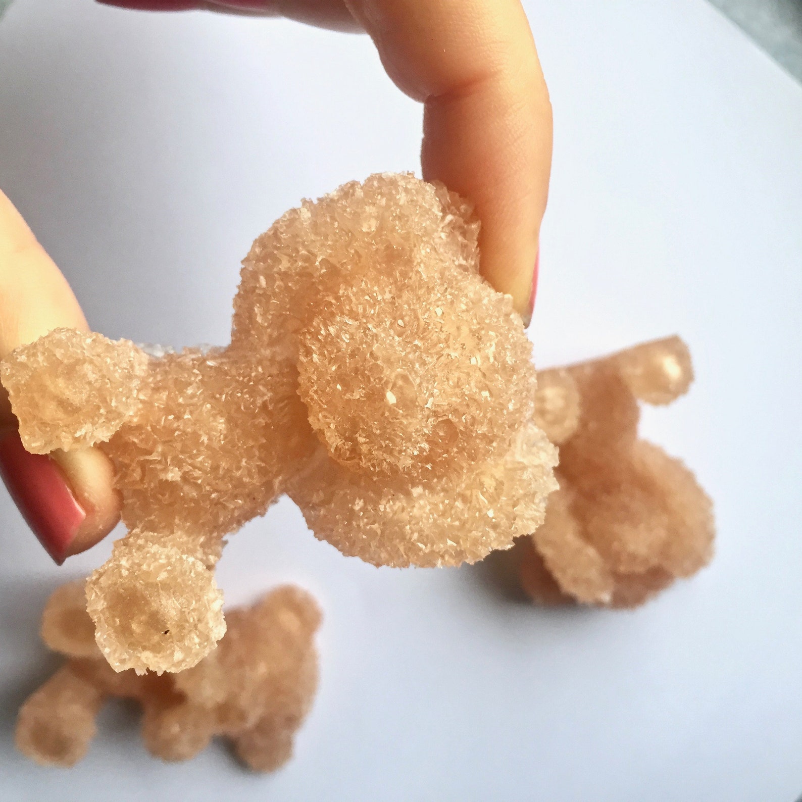 Bear magnets. Resin animal magnets for fridge. Bear decor for | Etsy