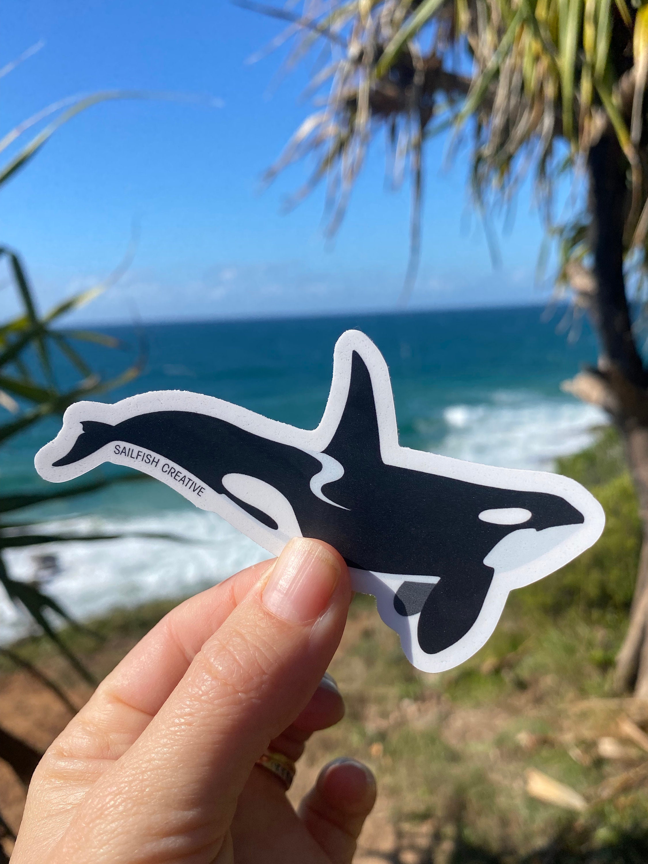 Sticker Orca Killer Whale | Etsy Australia