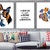Jack Russel Bright Multicolour Abstract Art Print Colourful Dog Gallery ...