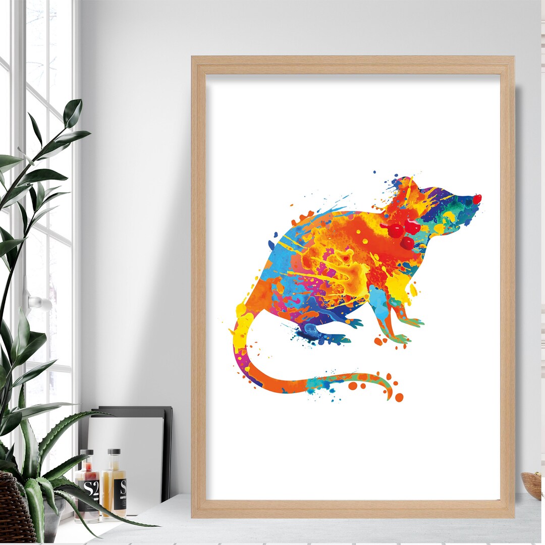Watercolour Paint Splash Rat Art Print Bright Multicolour - Etsy