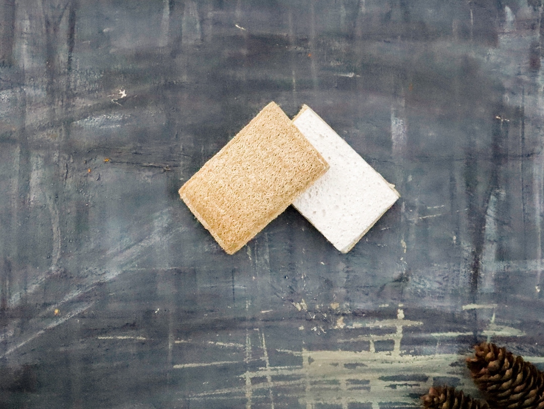 Set of 2 Eco Sponges | Loofah Wood Pulp | 100% Compostable and ...