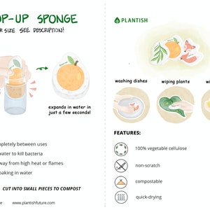Orange - Pop up Sponge | Zero Waste Biodegradable Kitchen Sponge Wood ...