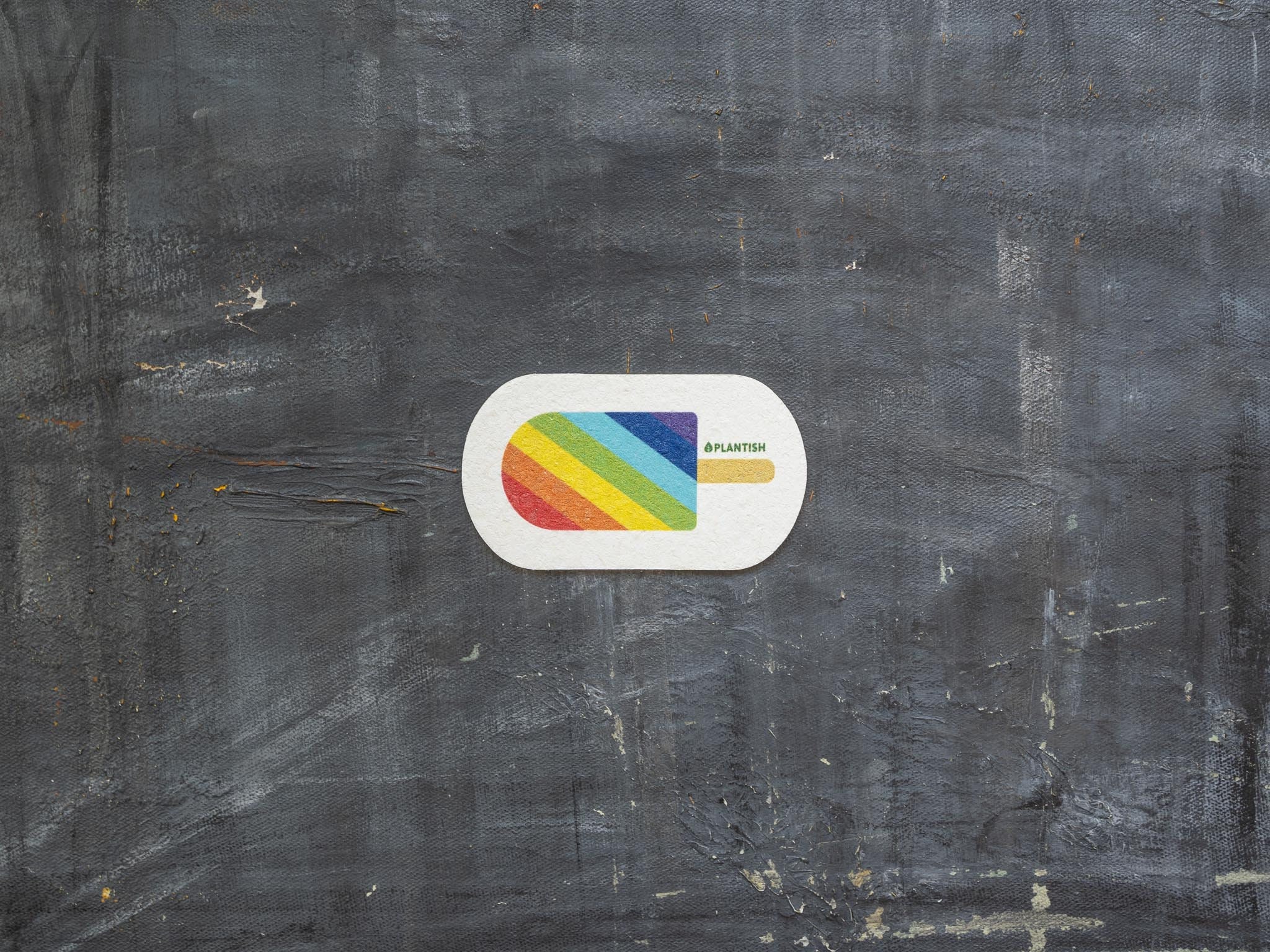 Set of 3 LGBTQ Pride Pop-up Sponges Queer Gay Lesbian Pride | Etsy