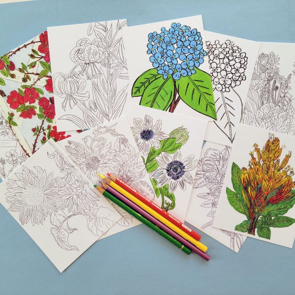 Coloring Postcards - Etsy