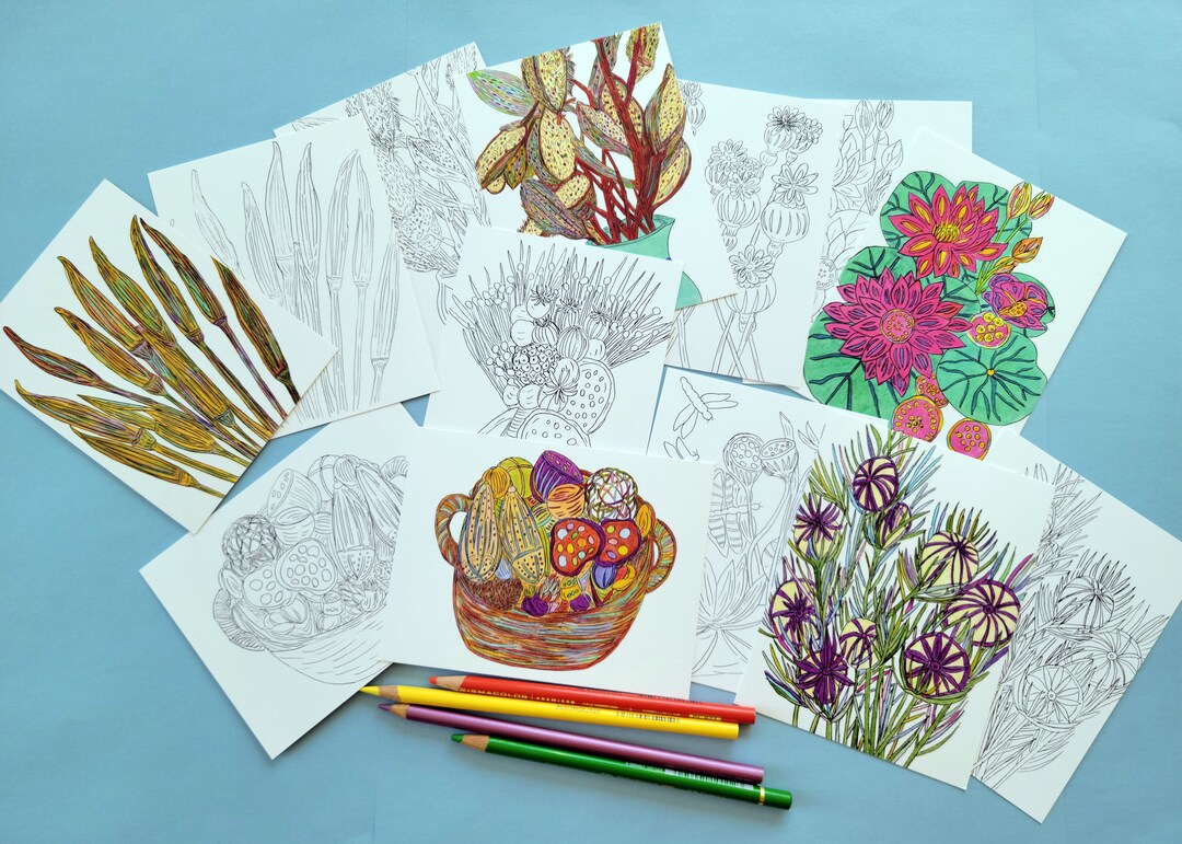 Floral Pods Coloring Postcards, Set of 8 Cards for Coloring, All Ages ...
