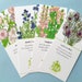 Heavenly Flowers Haiku Bookmark Pack Four Haiku Bookmarks for - Etsy