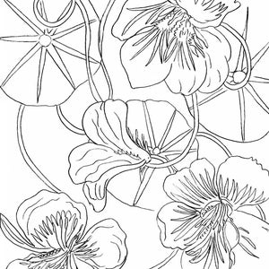 Postcard Coloring Page Coloring Pages