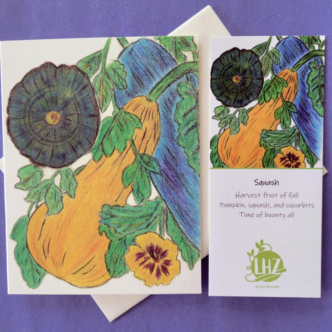 Winter Squash Note Card, A Blank Vegetable Greeting Card With a ...