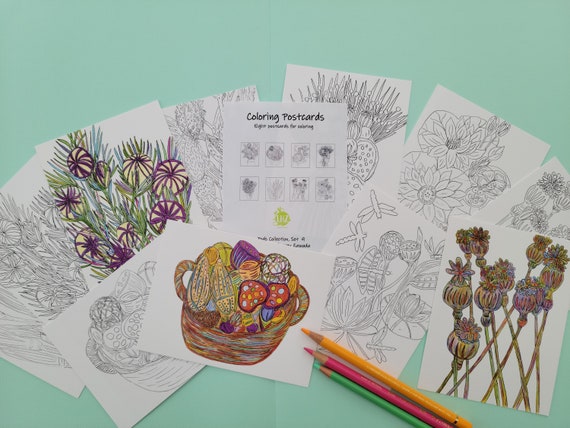 Floral Pods Coloring Postcards Set of 8 Cards for Coloring - Etsy