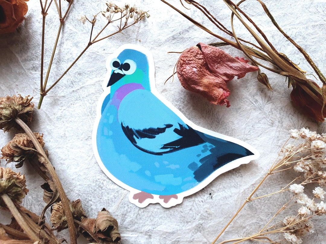 Chonk Pigeon Sticker - Etsy