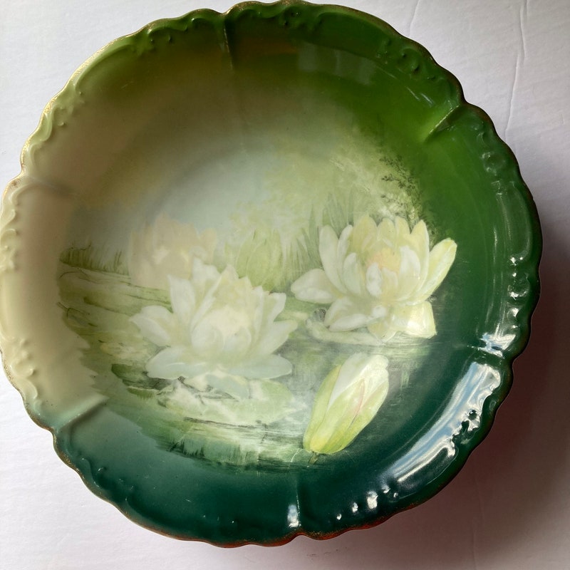 Water Lily Plate - Etsy