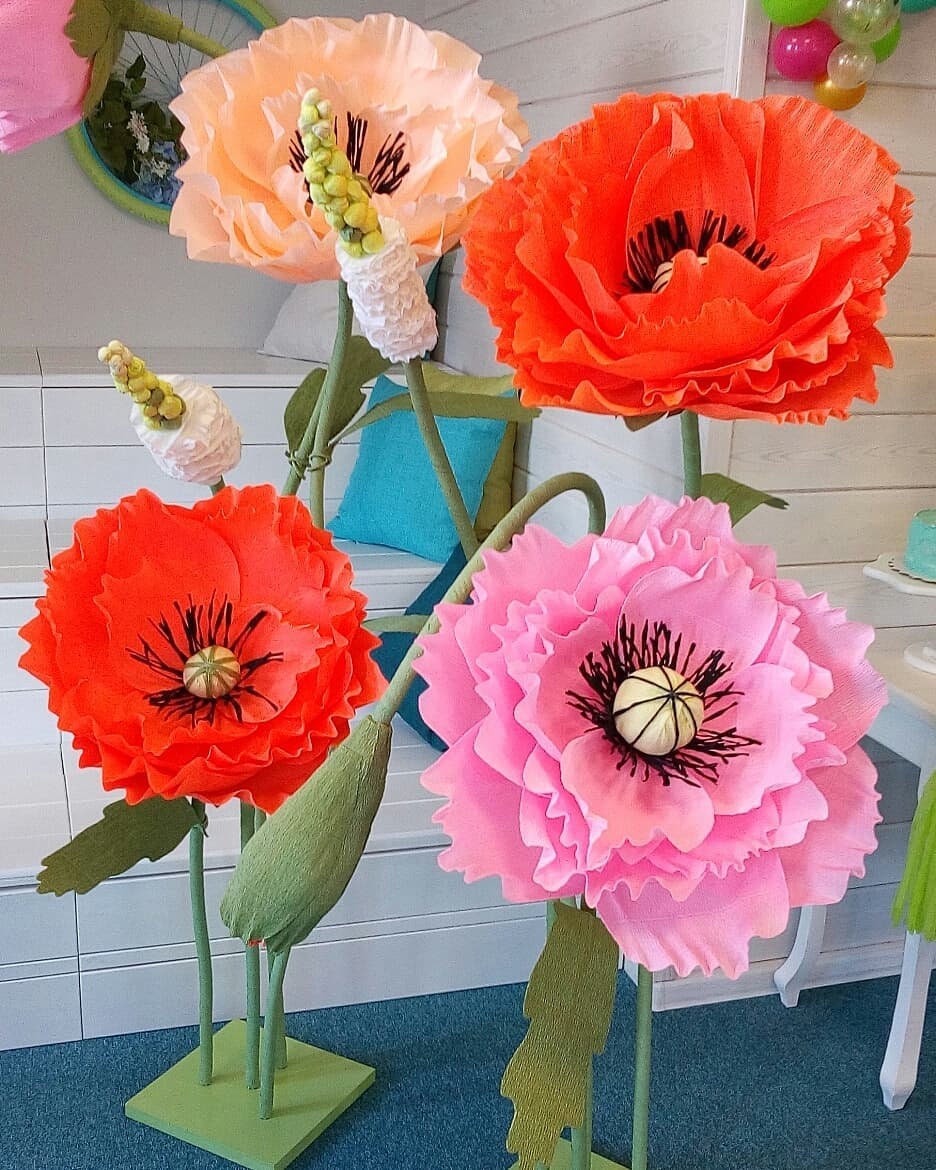 Giant Paper Poppy Large Poppy Poppy Flowers Large Flowers | Etsy