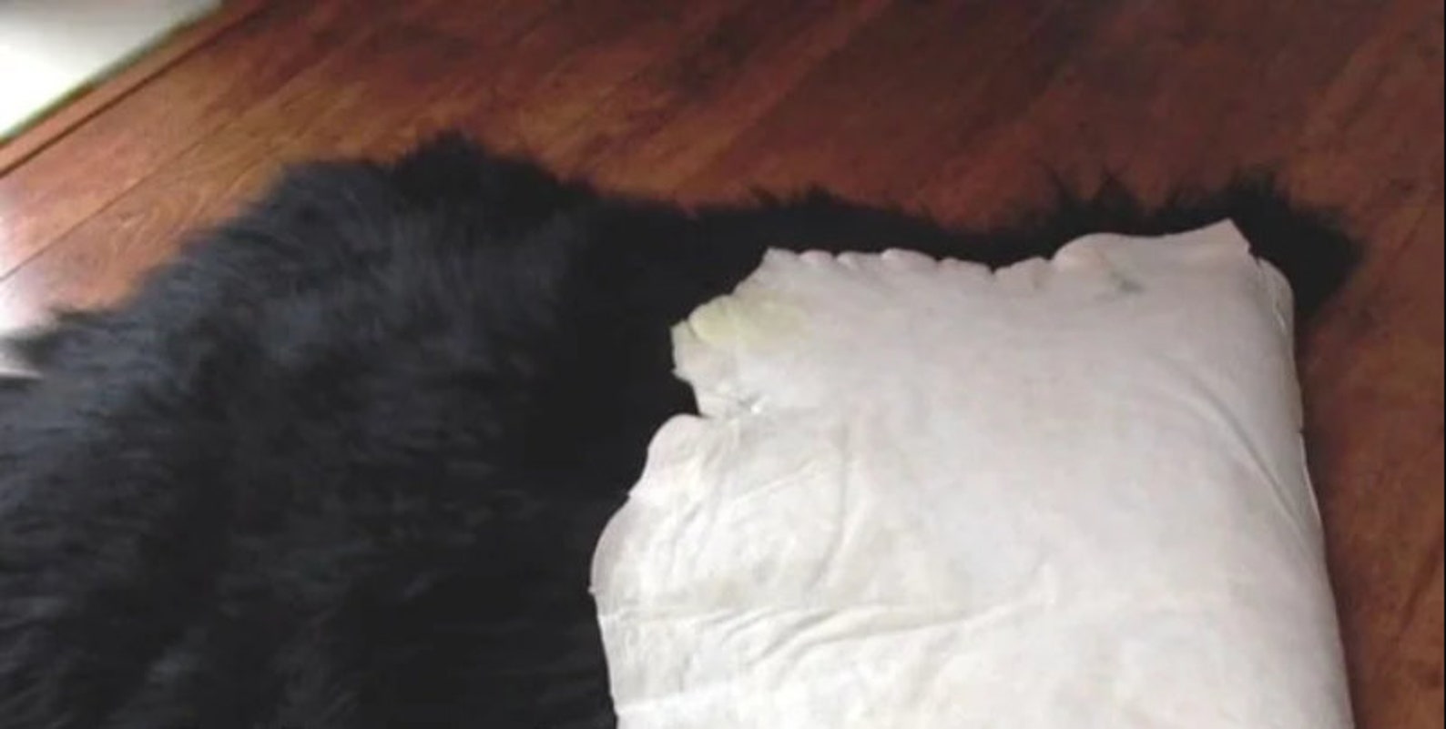 Genuine Natural Creamy White Sheepskin Rug Pelt Giant - Etsy