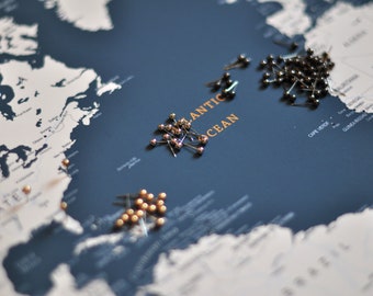 Map Push Pins: Striking Silver Metallic Finish - Etsy