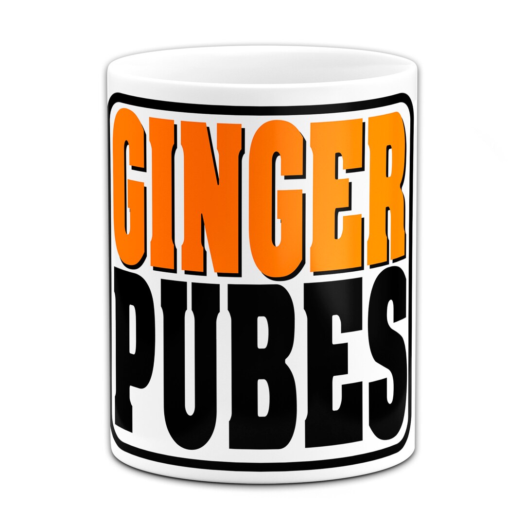 Ginger Pubes Funny Cute Ceramic Pencil Holder Caddy Pot Etsy
