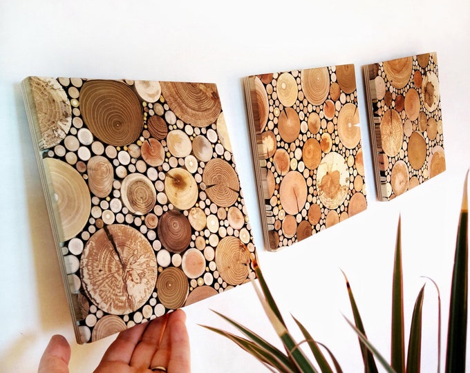 Live Edge Juniper Wood Boards - Etsy