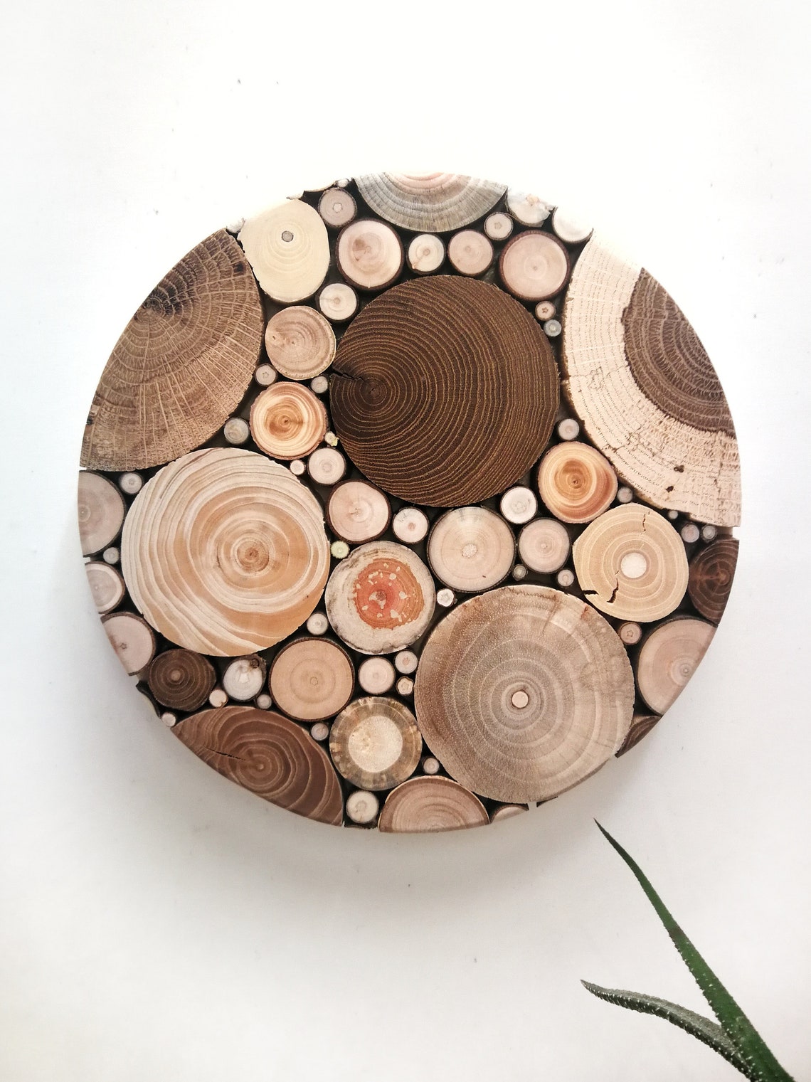 Wood Wall Art Circle/ Colorful Wood Wall Decor/ Wood Wall - Etsy