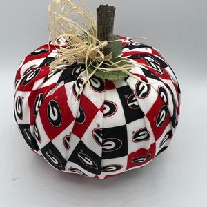 Uga,fabric College Pumpkin, Fall Decor, Autumn Decor, College Football ...