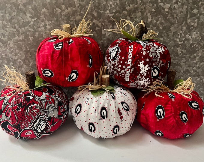Uga,fabric College Pumpkin, Fall Decor, Autumn Decor, College Football ...