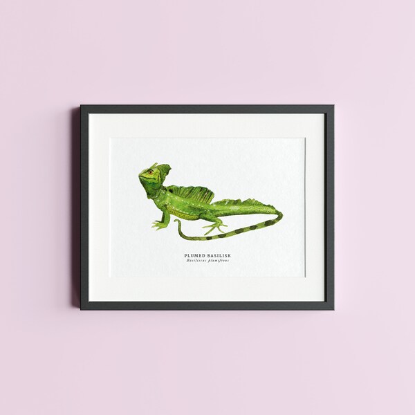 Basilisk Print - Etsy
