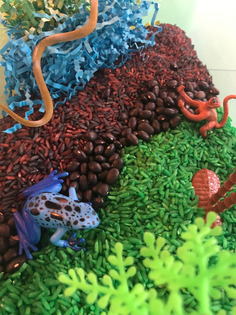 Rainforest Sensory Bin/ Sensory Play/ Rice - Etsy