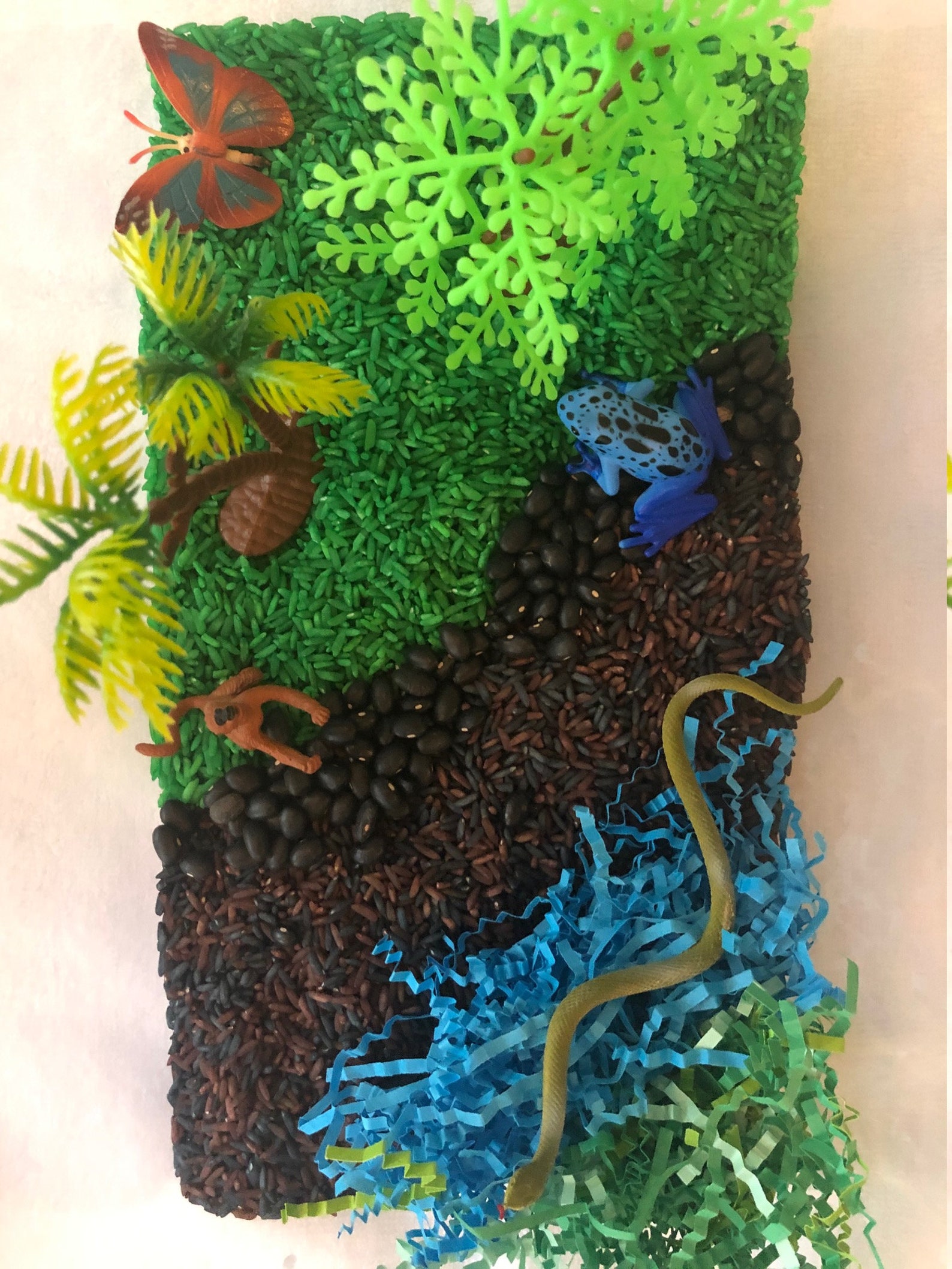 Rainforest Sensory Bin/ Sensory Play/ Rice - Etsy