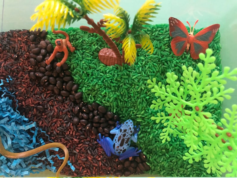 Rainforest Sensory Bin/ Sensory Play/ Rice - Etsy