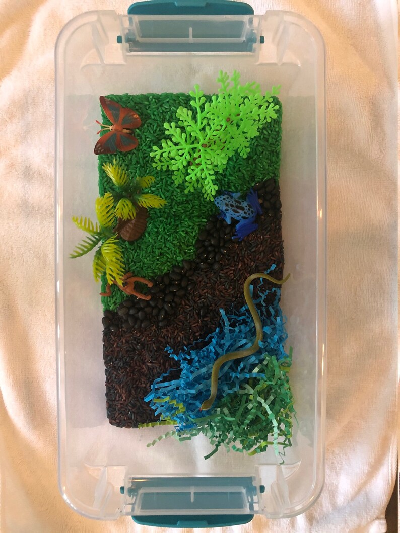 Rainforest Sensory Bin/ Sensory Play/ Rice - Etsy