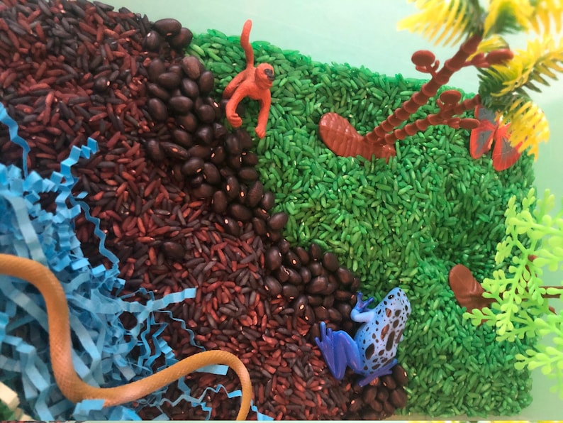 Rainforest Sensory Bin/ Sensory Play/ Rice - Etsy