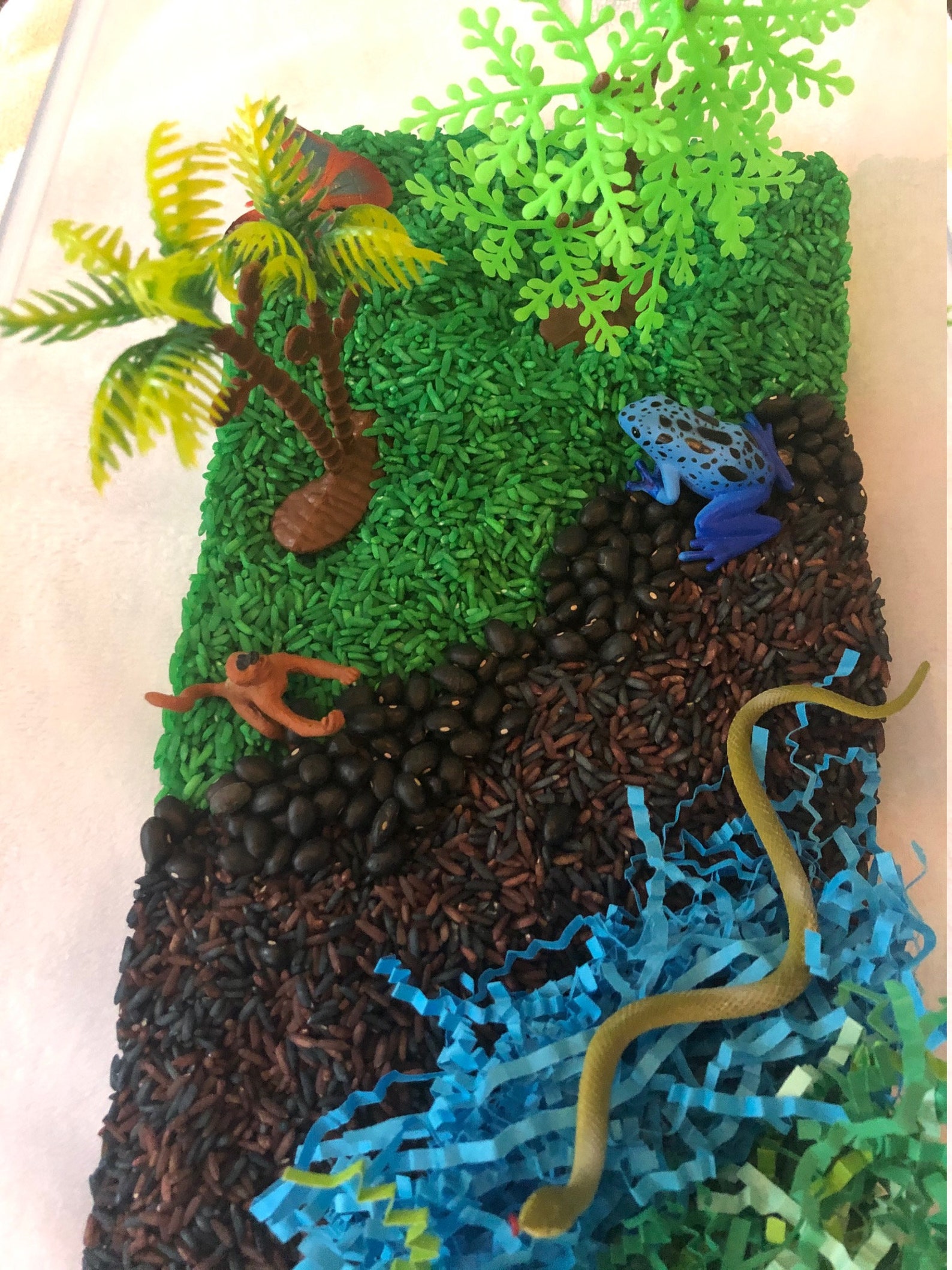 Rainforest Sensory Bin/ Sensory Play/ Rice - Etsy