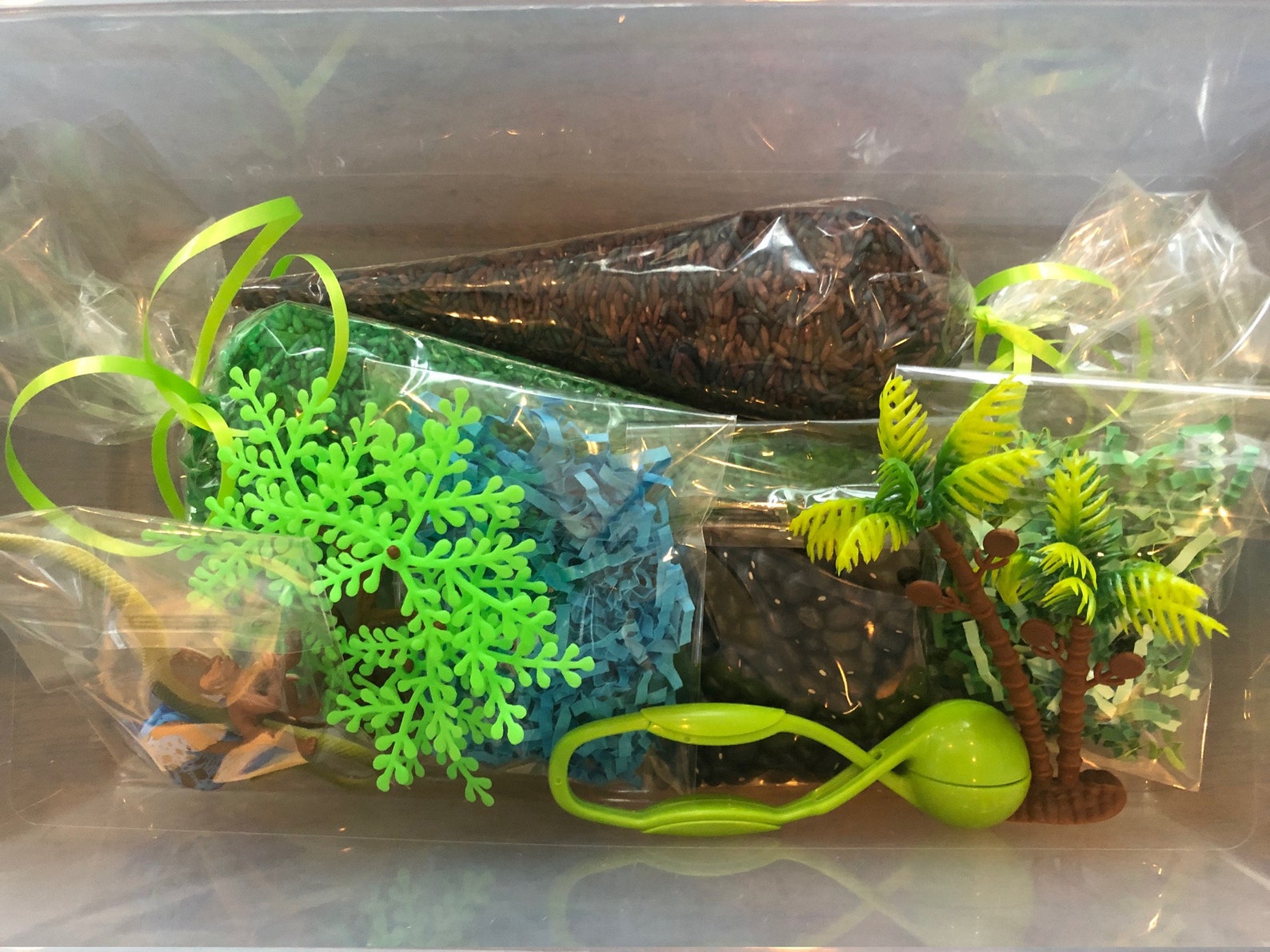 Rainforest Sensory Bin/ Sensory Play/ Rice - Etsy