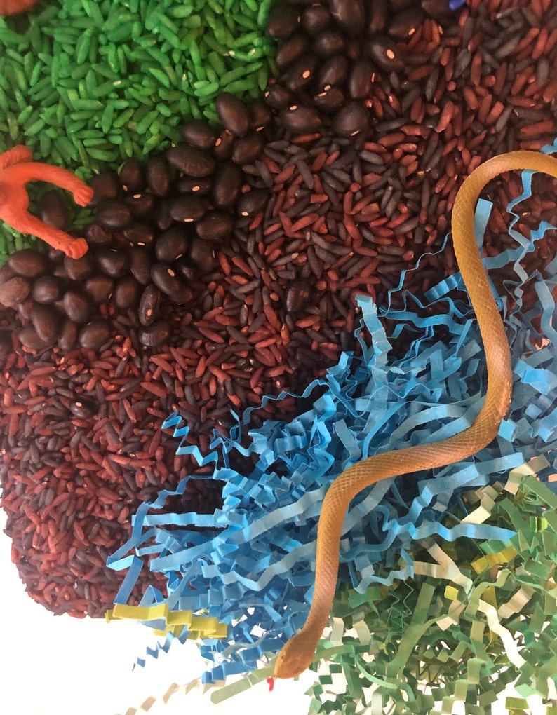 Rainforest Sensory Bin/ Sensory Play/ Rice - Etsy