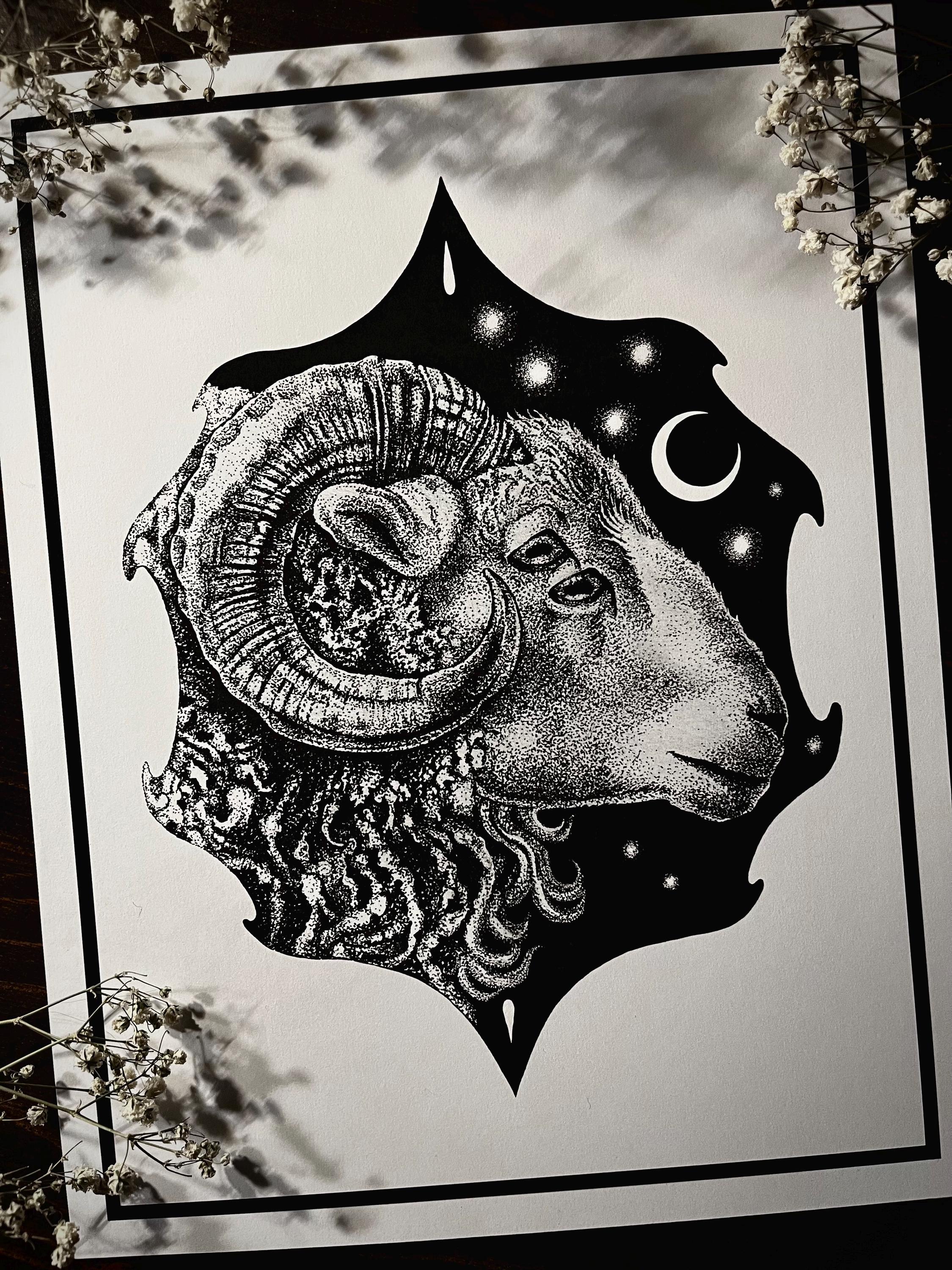 Double Eyed Sheep (8.5x11") Art Print - Etsy