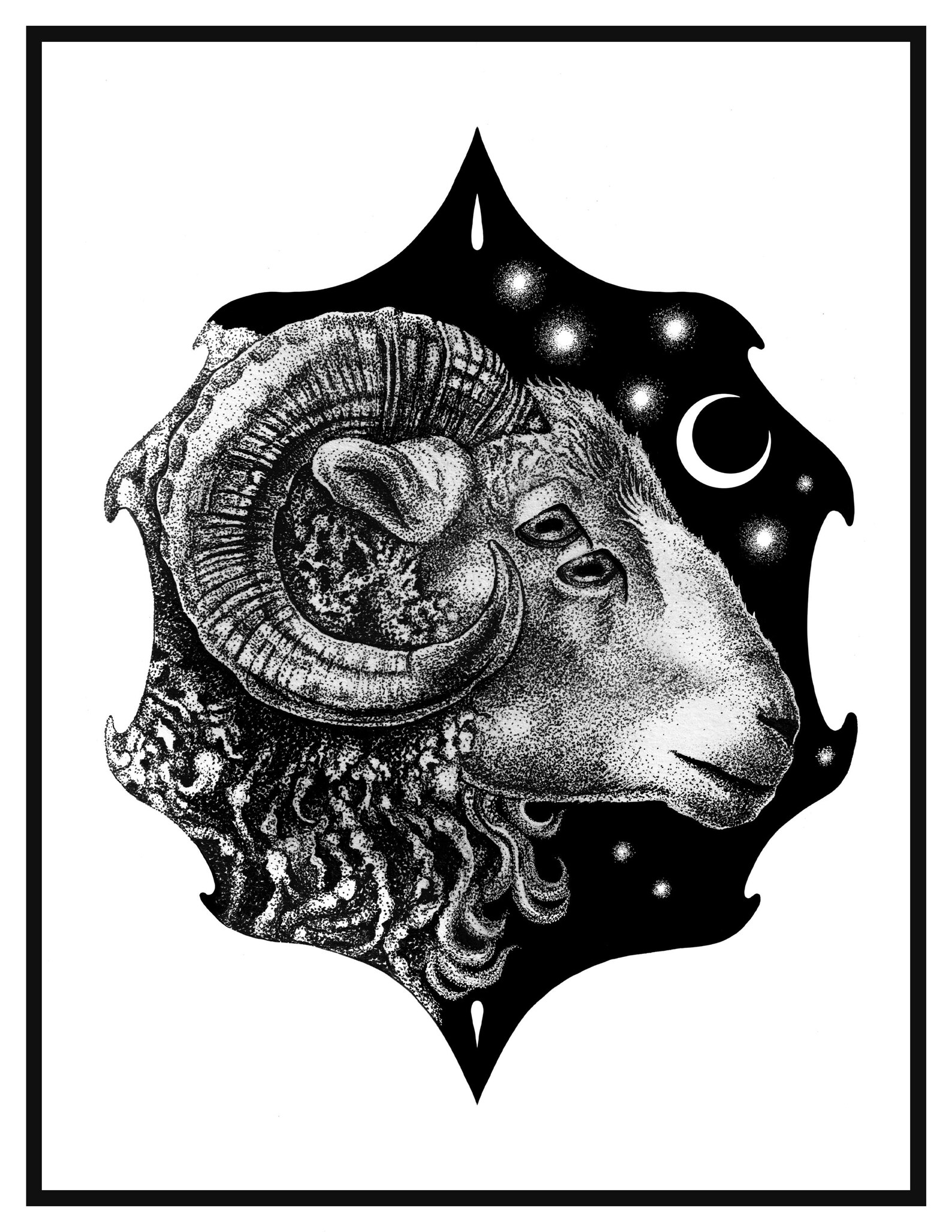 Double Eyed Sheep (8.5x11") Art Print - Etsy