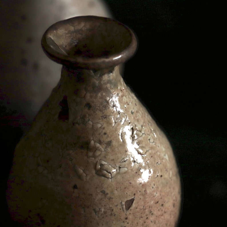 Handmade White Slip Sake Bottle: Japanese Studio Pottery by Haga ...