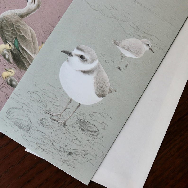 Set of 3 Large Pop-up Birds Greeting Card / 3D Card - Etsy