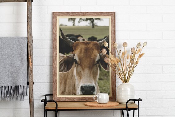 Cow Digital Download Photo Print Western Photo Print Cow - Etsy