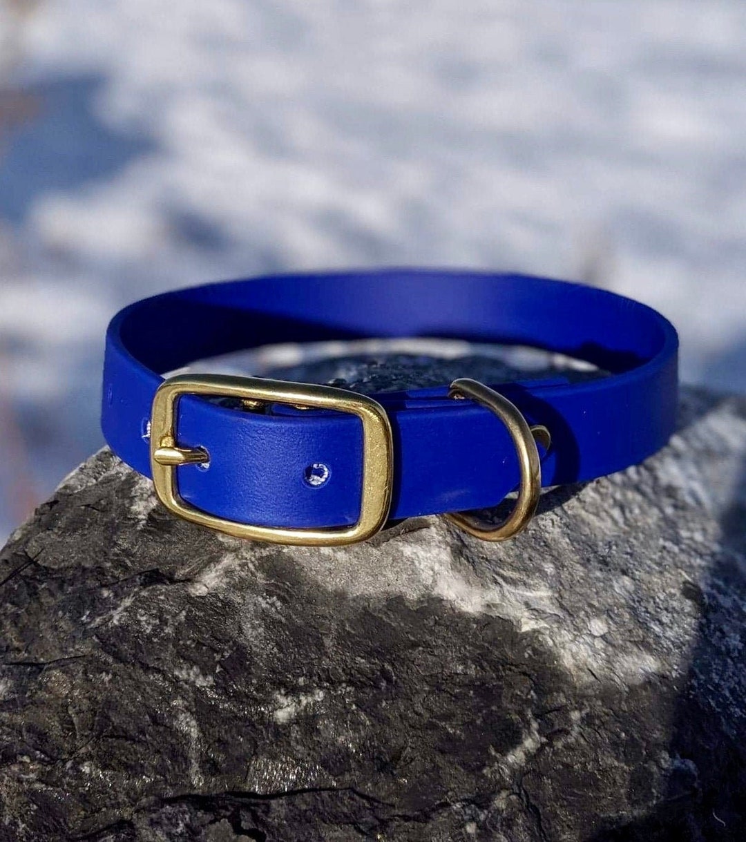1'' Waterproof Dog Collar, Cobalt Blue, Brass Buckle, Classic Collar ...