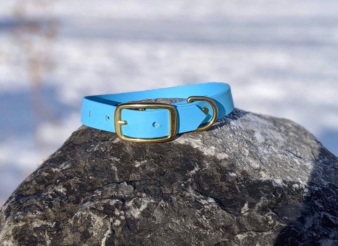 1'' Waterproof Dog Collar, Pastel Blue, Brass Buckle, Classic Collar ...