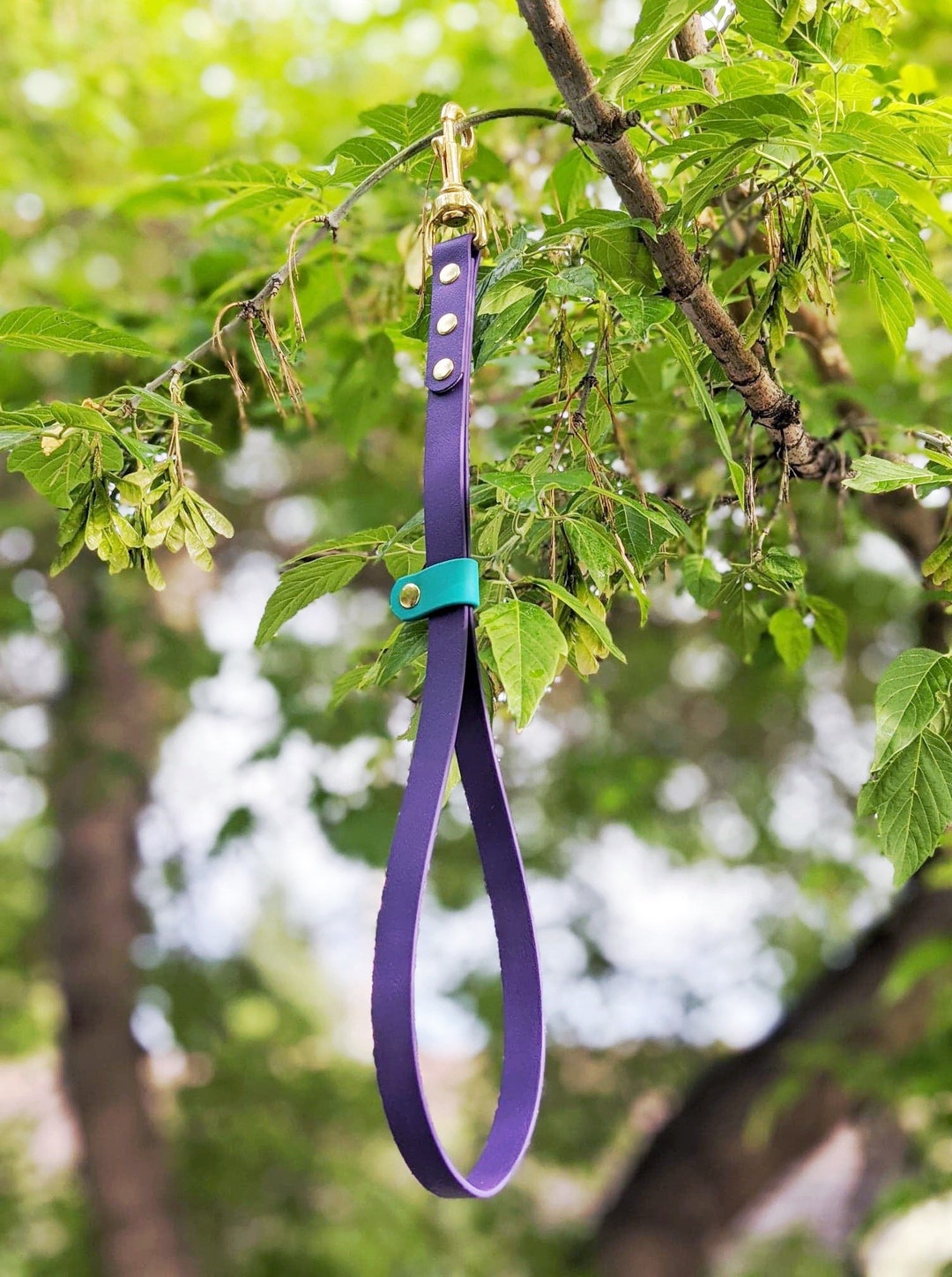 3/4'' Waterproof Grooming Loop, Grooming Noose, 18” Long, Purple, Brass ...