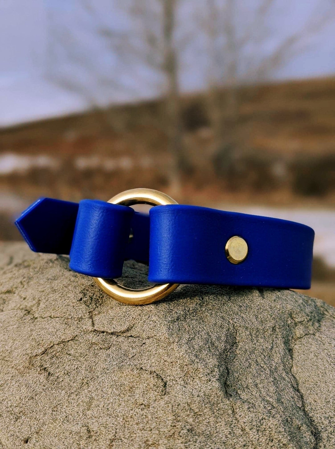 1'' Waterproof Dog Collar, Cobalt Blue, Brass Buckle, O Ring, Double ...