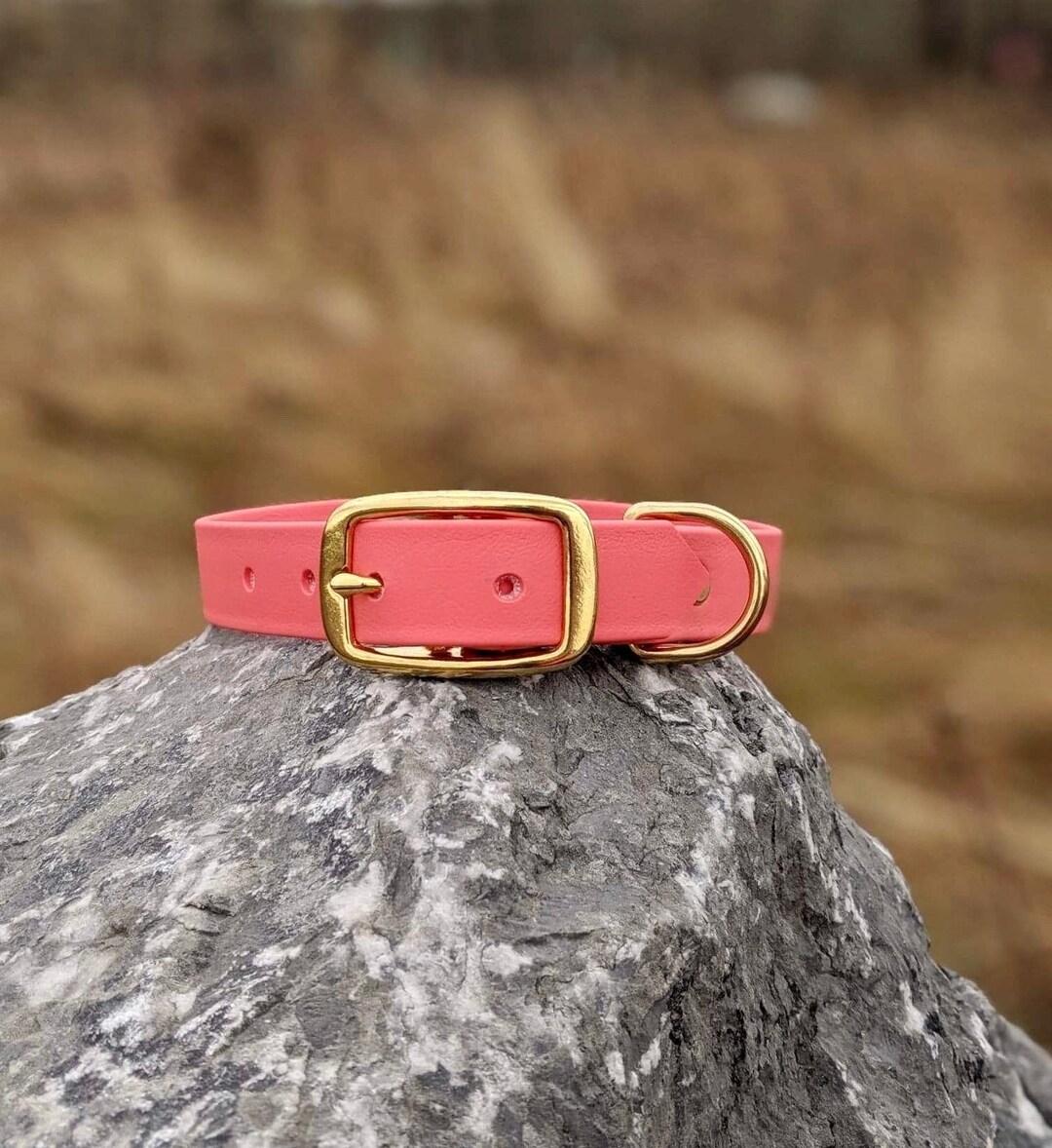 1'' Waterproof Dog Collar, Coral Pink Collar, Brass Buckle, Classic Dog ...