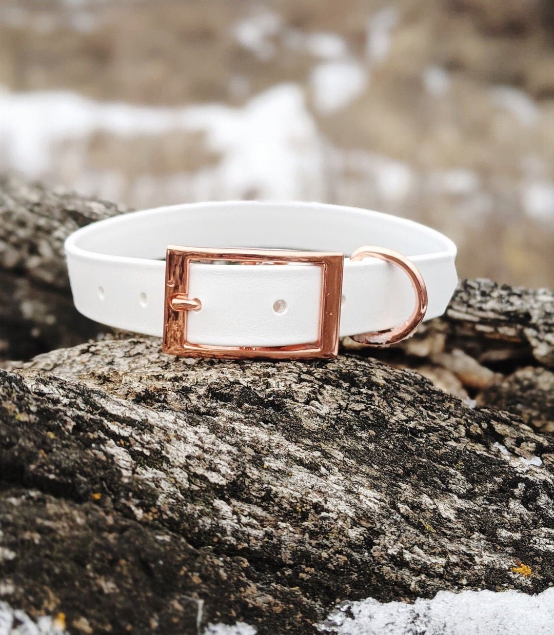 1'' Waterproof Dog Collar, White Collar, Rose Gold Buckle, Classic ...