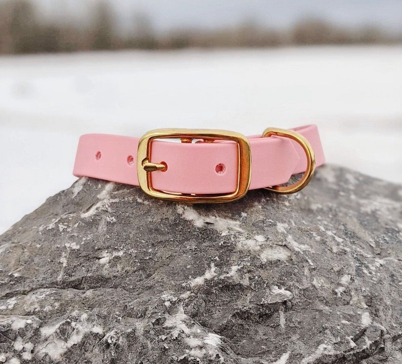 1'' Waterproof Dog Collar, Pastel Pink Collar, Brass Buckle, Classic ...