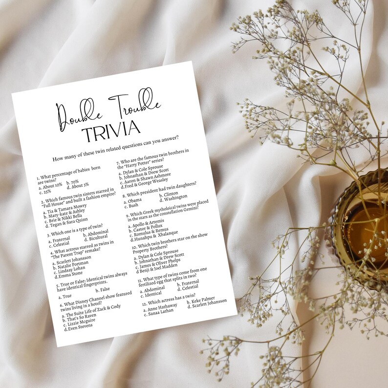 Twins Baby Shower Games, Double Trouble Trivia Game, Twin Baby Shower ...